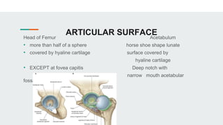 HIP JOINT(Final).pptx