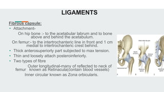 HIP JOINT(Final).pptx