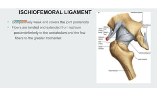 HIP JOINT(Final).pptx