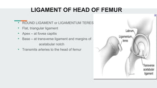 HIP JOINT(Final).pptx