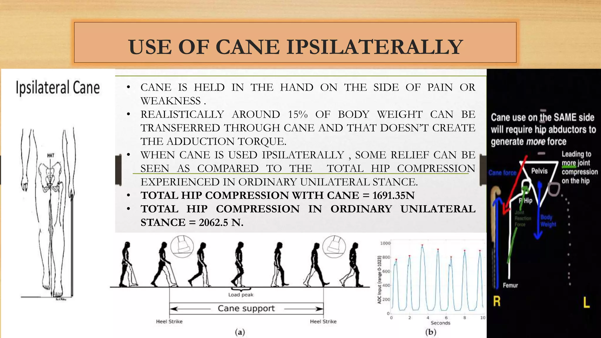 Hip joint forces and muscle function in stance | PPTX