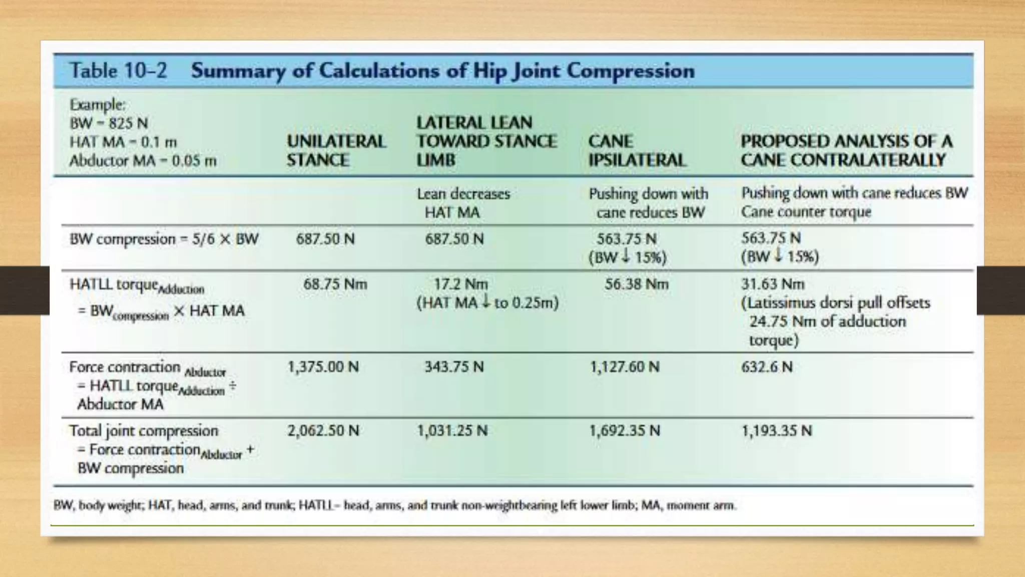 Hip joint forces and muscle function in stance | PPTX