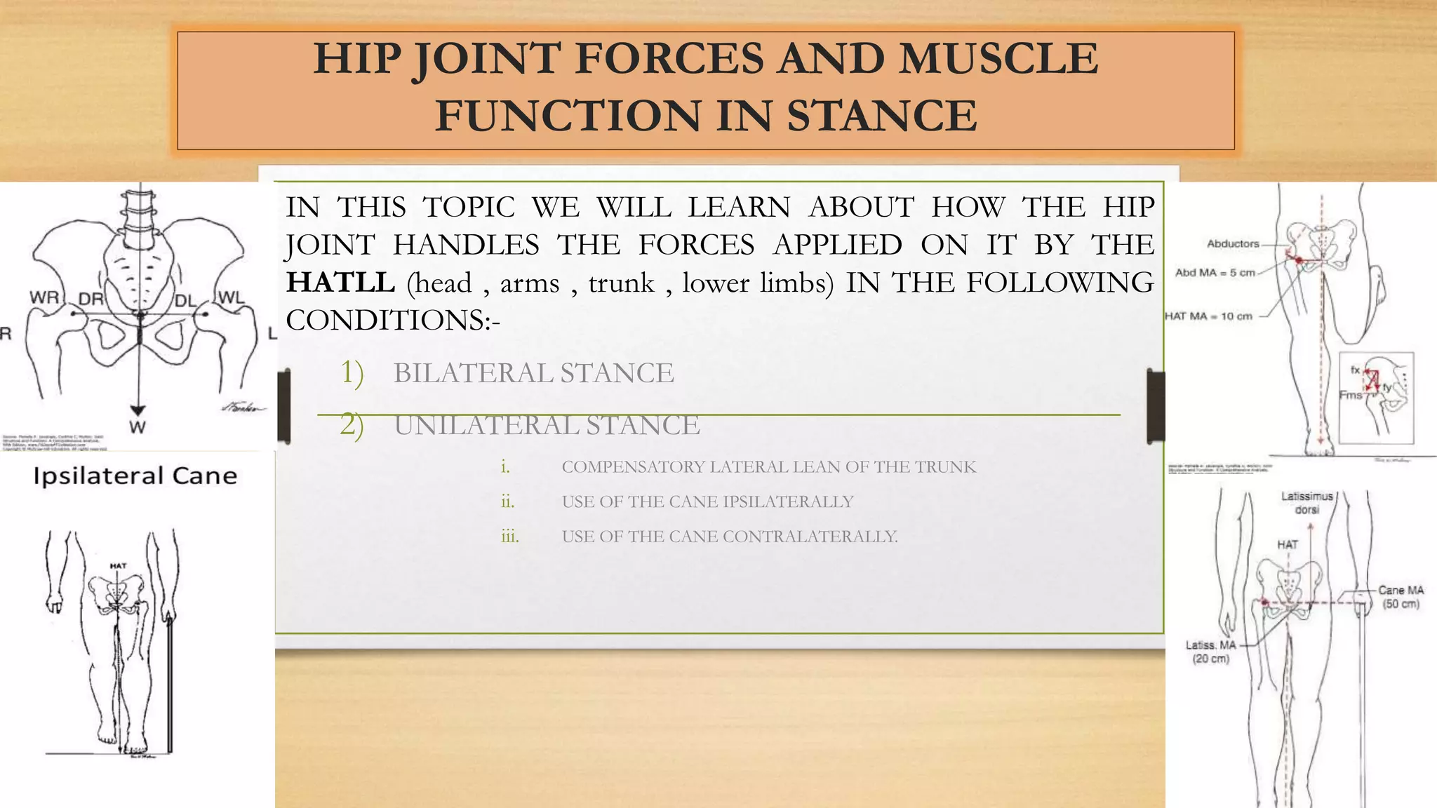 Hip joint forces and muscle function in stance | PPTX