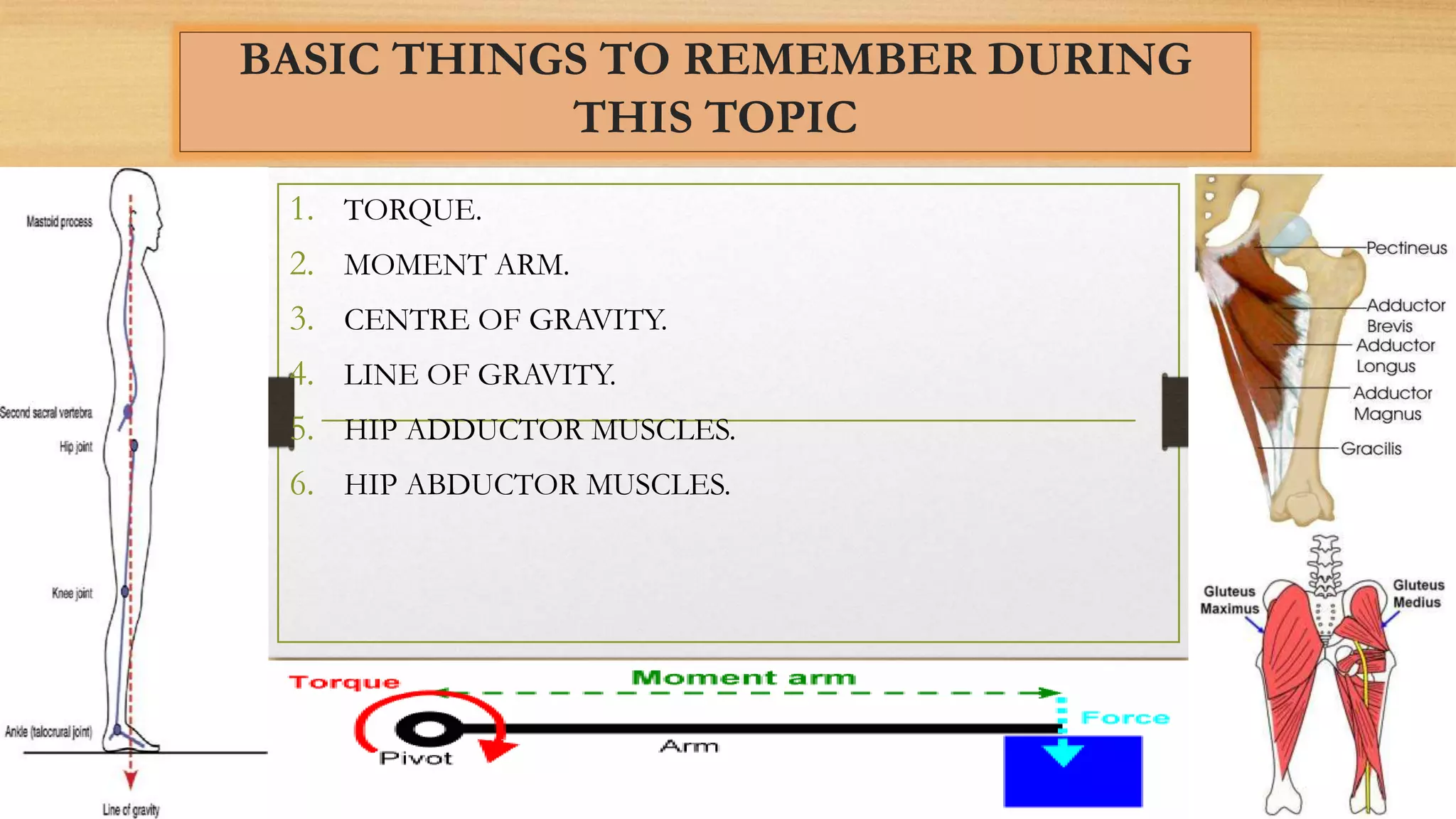 Hip joint forces and muscle function in stance | PPTX