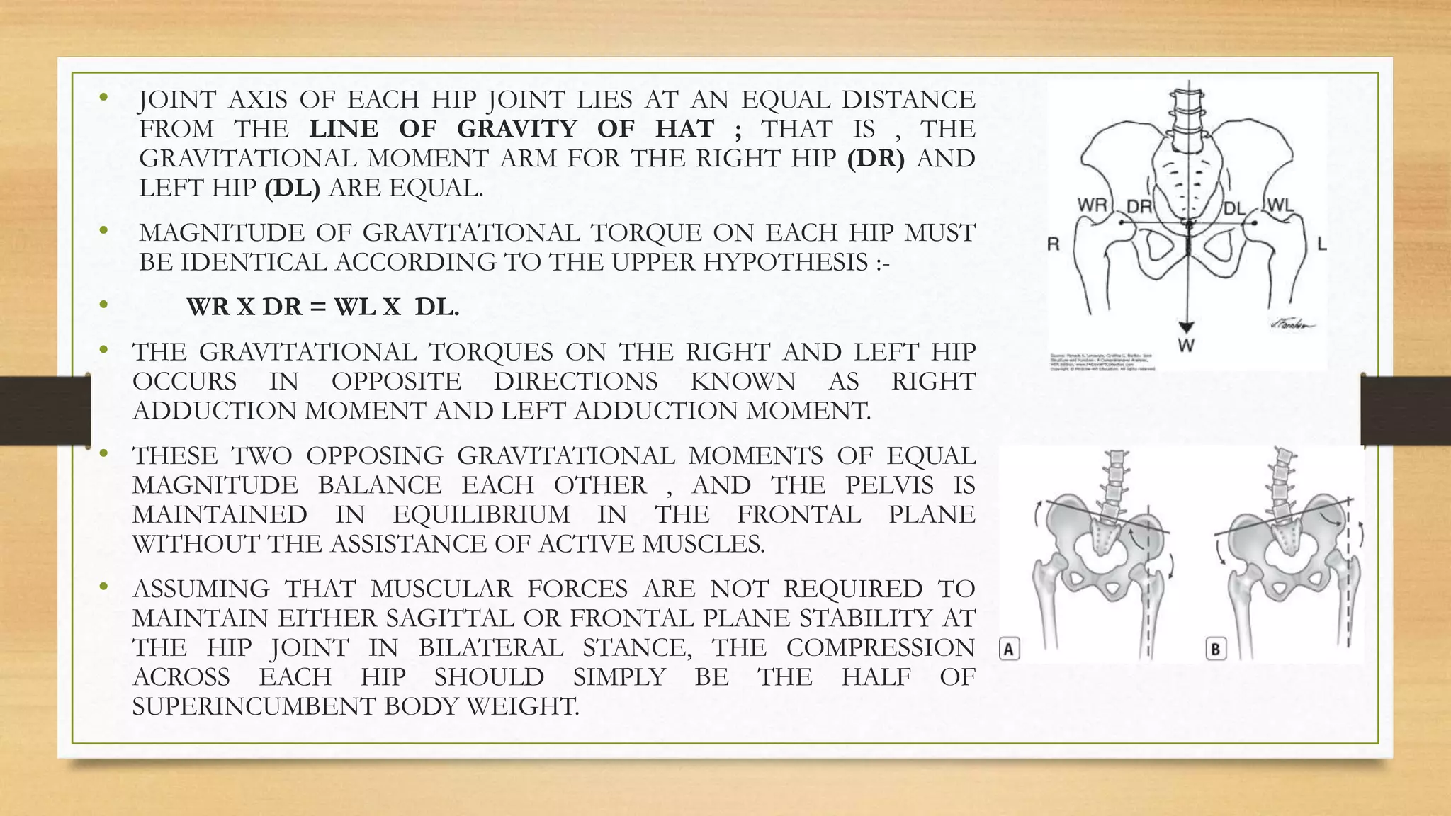 Hip joint forces and muscle function in stance | PPTX