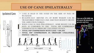 Hip joint forces and muscle function in stance | PPTX
