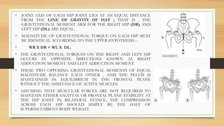 Hip joint forces and muscle function in stance | PPTX