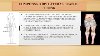 Hip joint forces and muscle function in stance | PPTX