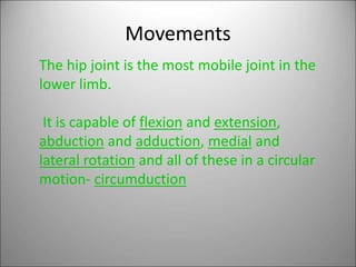 the gross antomy of the hip hoint and applied anatomy focused for ...