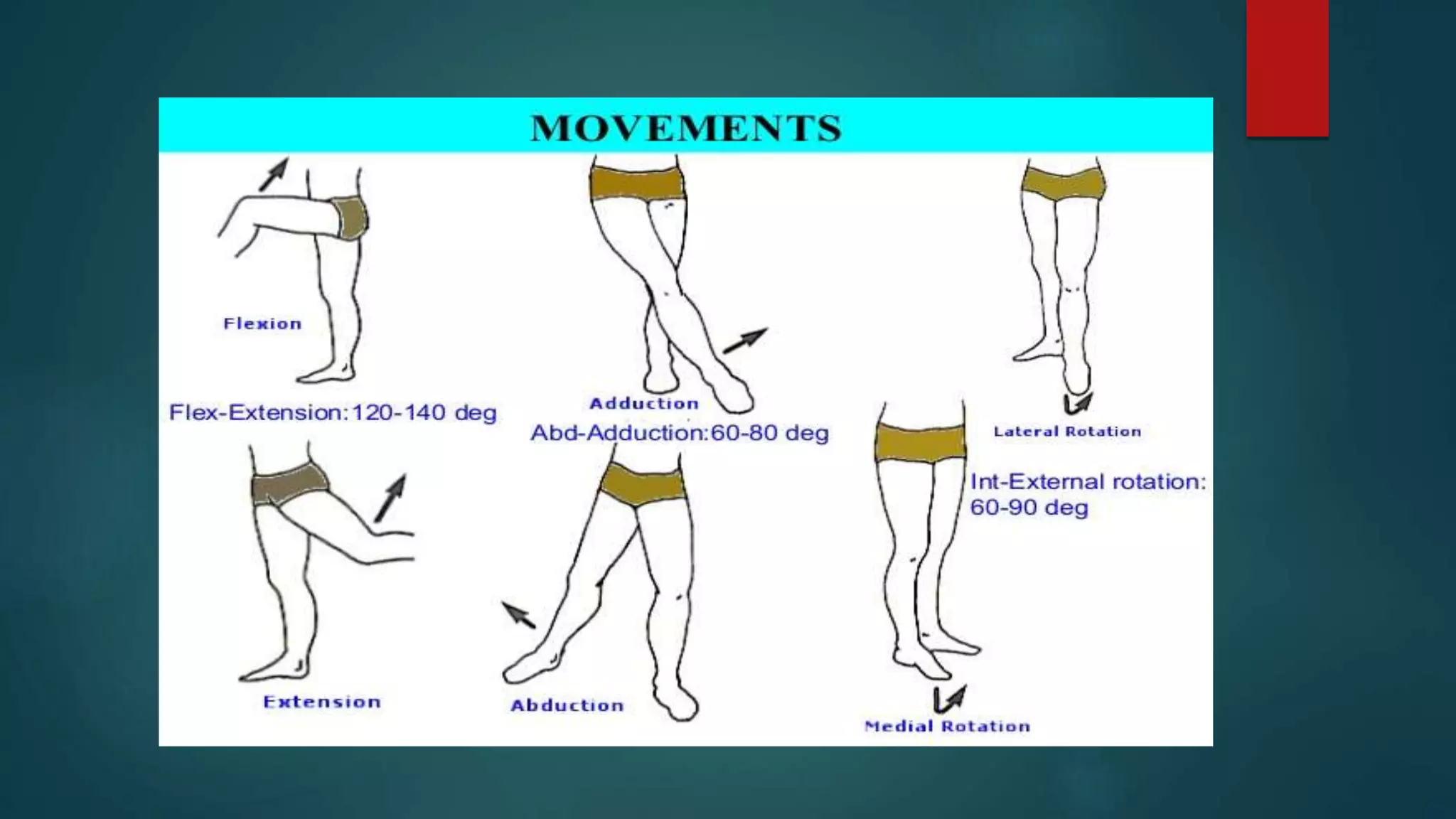 Hip joint ppt insha ur rahman | PPTX | Death, Injury, or Military ...