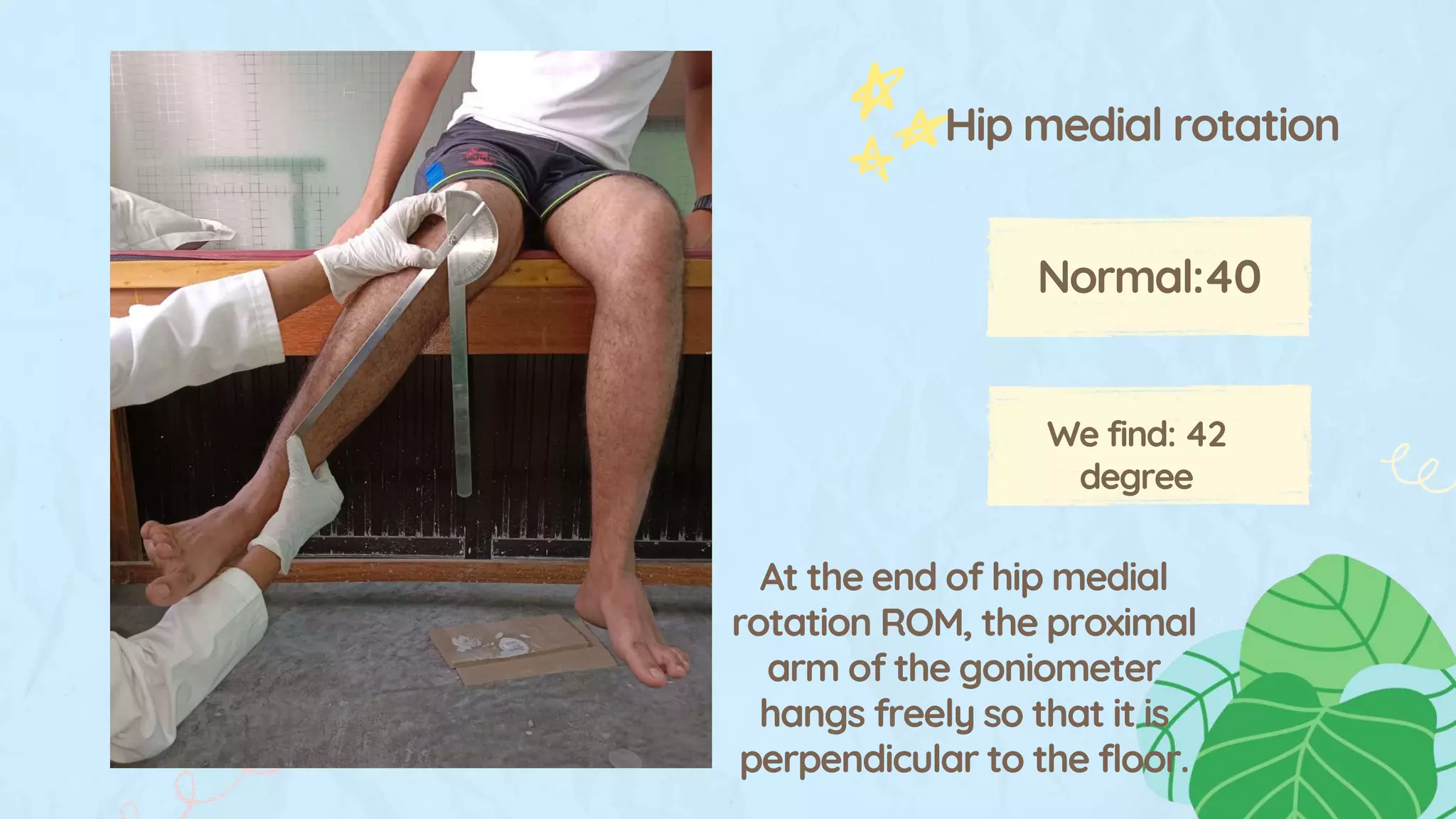 hip joint (rom&ms) 2.pptx