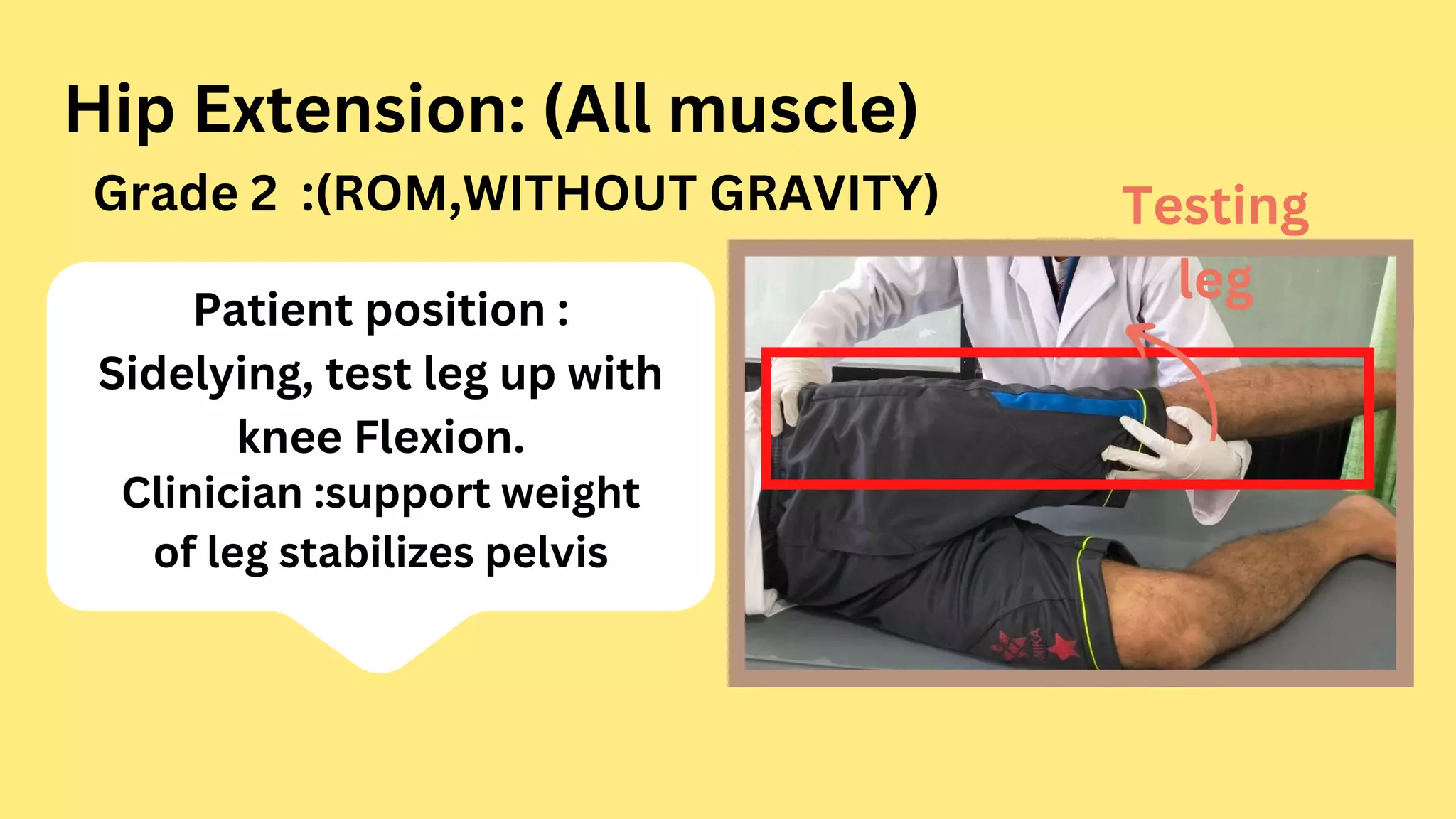 hip joint (rom&ms) 2.pptx