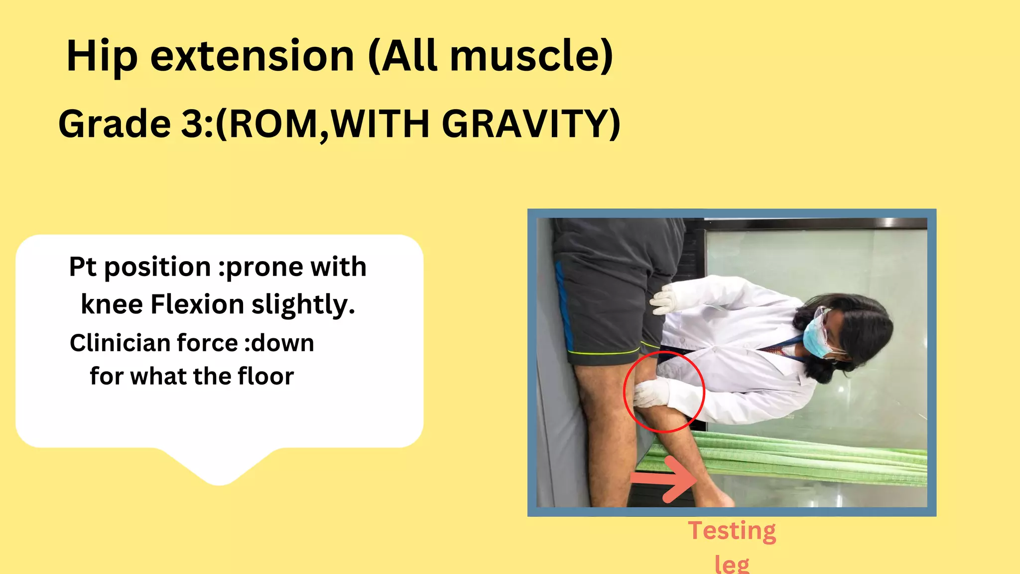 hip joint (rom&ms) 2.pptx