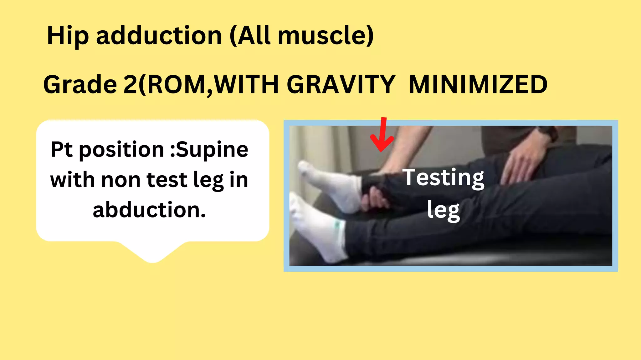 hip joint (rom&ms) 2.pptx