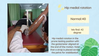 hip joint (rom&ms) 2.pptx