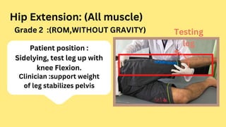 hip joint (rom&ms) 2.pptx