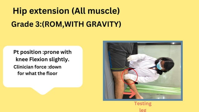 Hip Joint Rom Ms 2 Pptx