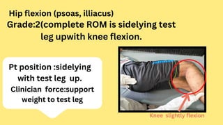 hip joint (rom&ms) 2.pptx