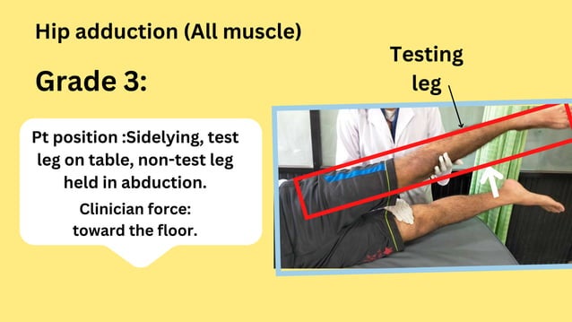 hip joint (rom&ms) 2.pptx