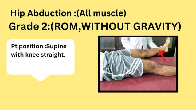 hip joint (rom&ms) 2.pptx
