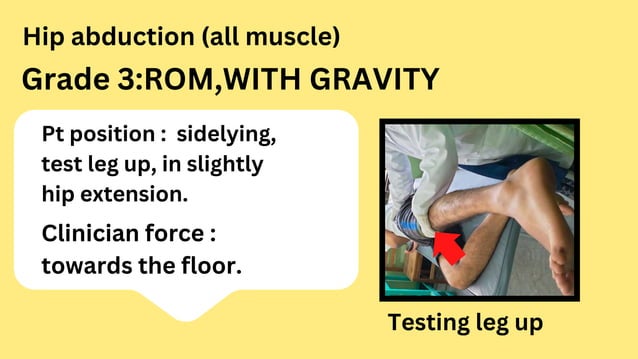 hip joint (rom&ms) 2.pptx