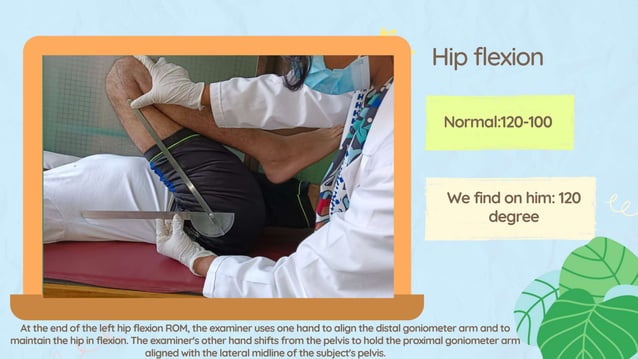 Hip Joint Rom Ms 2 Pptx