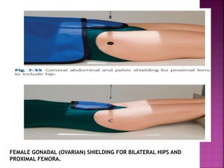 ANTERO-POSTERIOR –PELVIS (basic projection) AND BOTH HIPS (basic ...