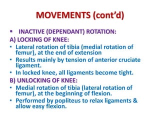 Hip, Knee & ankle joints (1).pdf lowerlimb | PPT