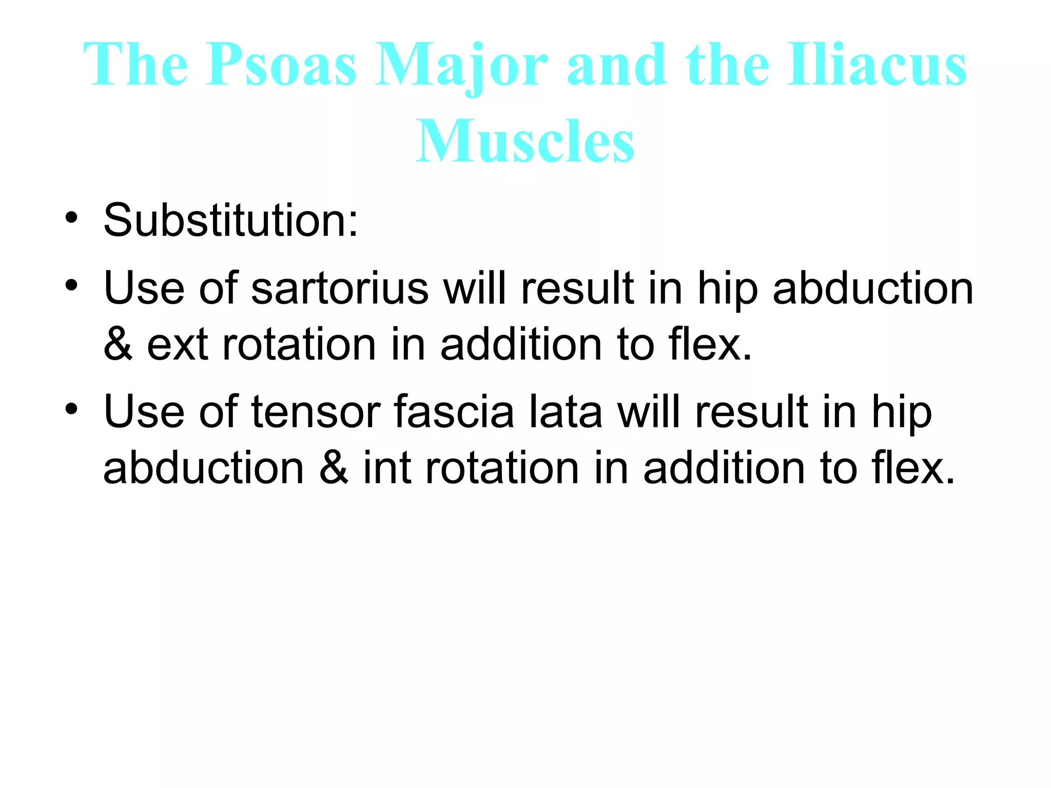 Hip mmt | PPT