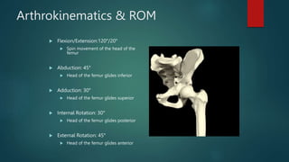Hip mobilization.pptx