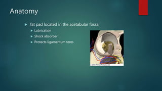 Hip mobilization.pptx