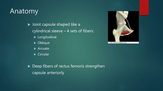 Hip mobilization.pptx