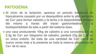 Hipocalcemia | PPTX