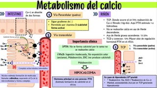 Hipocalcemia | PPTX