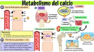 Hipocalcemia | PPTX