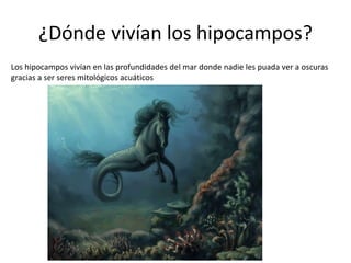 Hipocampo | PPTX