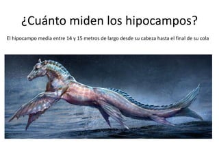 Hipocampo | PPTX