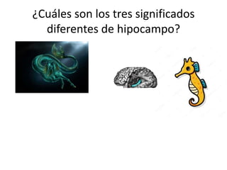 Hipocampo | PPTX