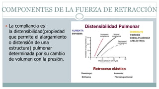 Fisiologia respiratoria HIPOCRATES DE COS | PPTX