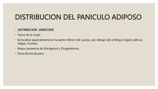 HIPODERMIS.pptx