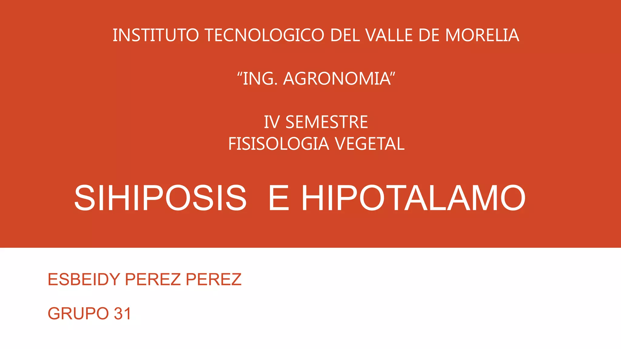 anatomia hipotalamo | PPTX