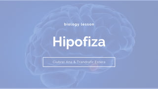 Hipofiza.pdf