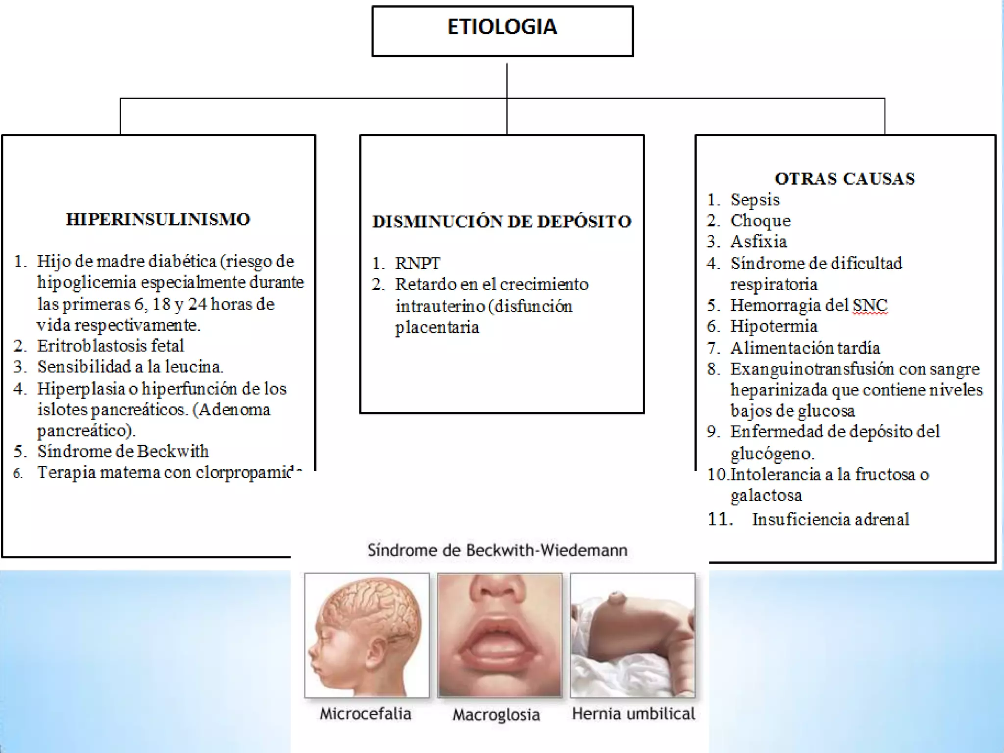 Hipoglicemia del recien nacido | PPTX | Diabetes | Diseases and Conditions
