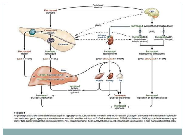 HIPOGLIKEMIA_and_HIPERGLIKEMIA.pptx