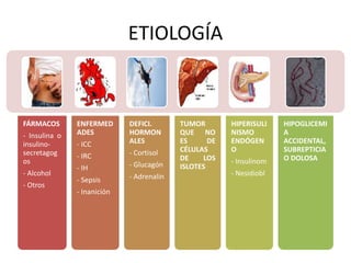 Hipoglucemia | PPTX