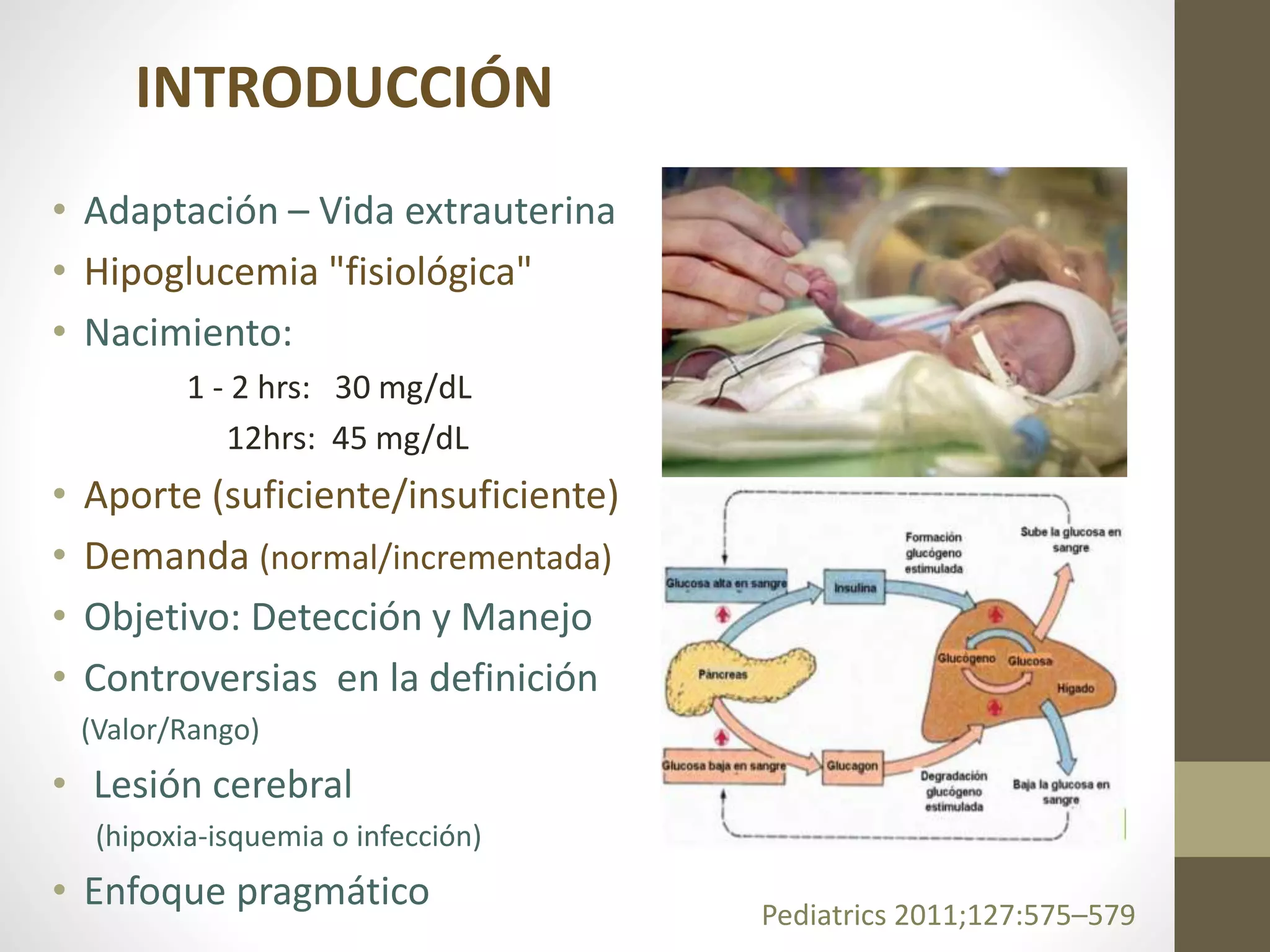 Hipoglucemia Neonatal | PPT | Descarga Gratuita