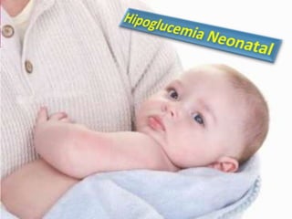 Hipoglucemia neonatal | PPTX