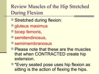 PC Hip openers | PPT
