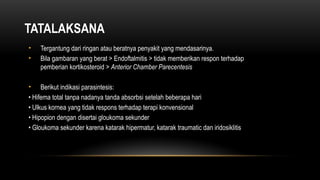Mini Case_Diagnosis dan Tatalaksana Hipopion | PPTX