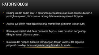 Mini Case_Diagnosis dan Tatalaksana Hipopion | PPTX